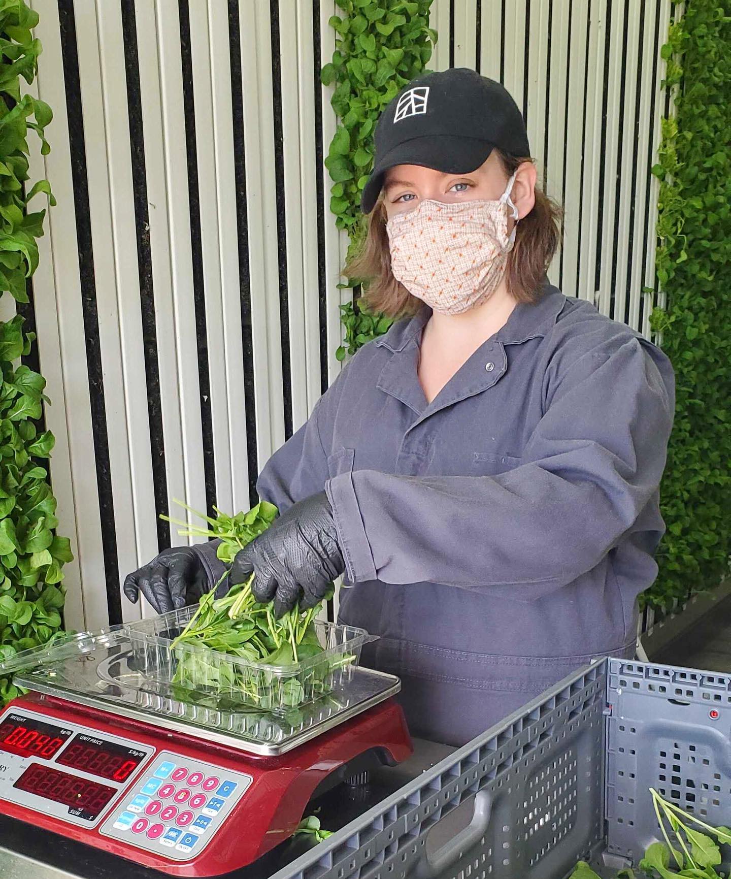 SQUARE ROOTS URBAN FARM: Peak-season flavor, all year round!